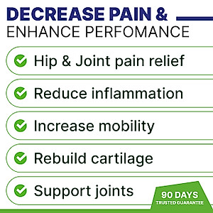 ADVANCED Hemp Hip & Joint Supplement for Dogs - Glucosamine for Dogs - Dog Joint Pain Relief Treats - Chondroitin Turmeric MSM Hemp Oil - Hemp Treats for Joint Health - Senior Mobility Support Chew
