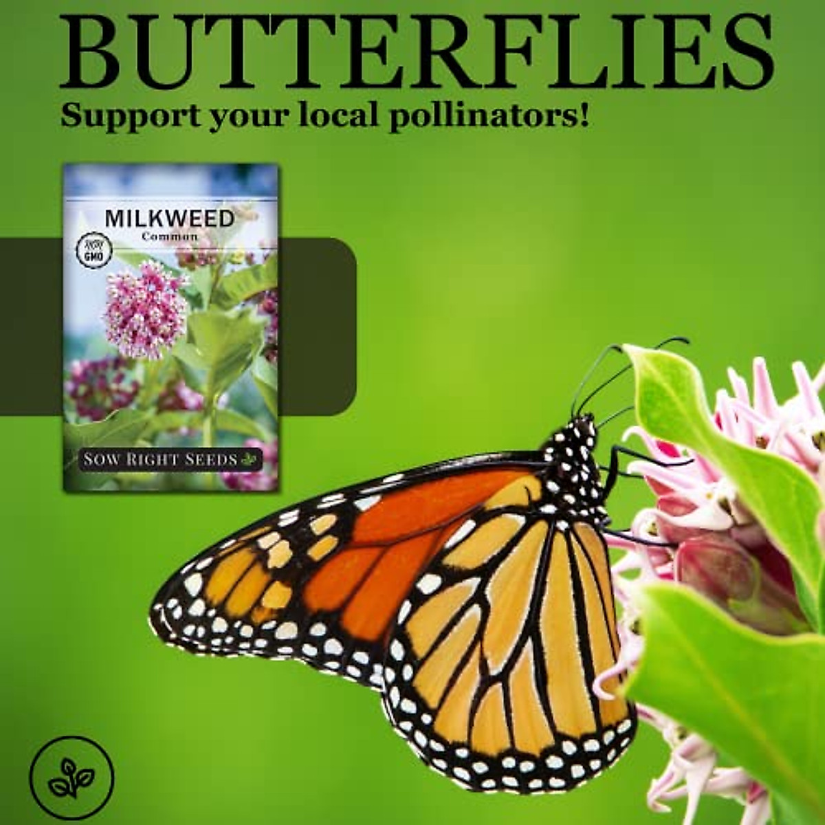 Sow Right Seeds Common Milkweed Seeds; Attract Monarch Butterflies to Your Garden; Non-GMO Heirloom Seeds; Full Instructions for Planting, Wonderful Gardening Gift (1)