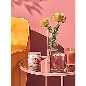 Illume Beautifully Done Essentials Paloma Petal Demi Vanity Tin Scented Candle