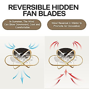 DADUL 16.5" Ceiling Fan with Lights Remote Control, Flush Mount Bladeless Ceiling Fan, 3 Color 6 Speeds Wind Low Profile Ceiling Fan with Light for Bedroom Living Room - Gold