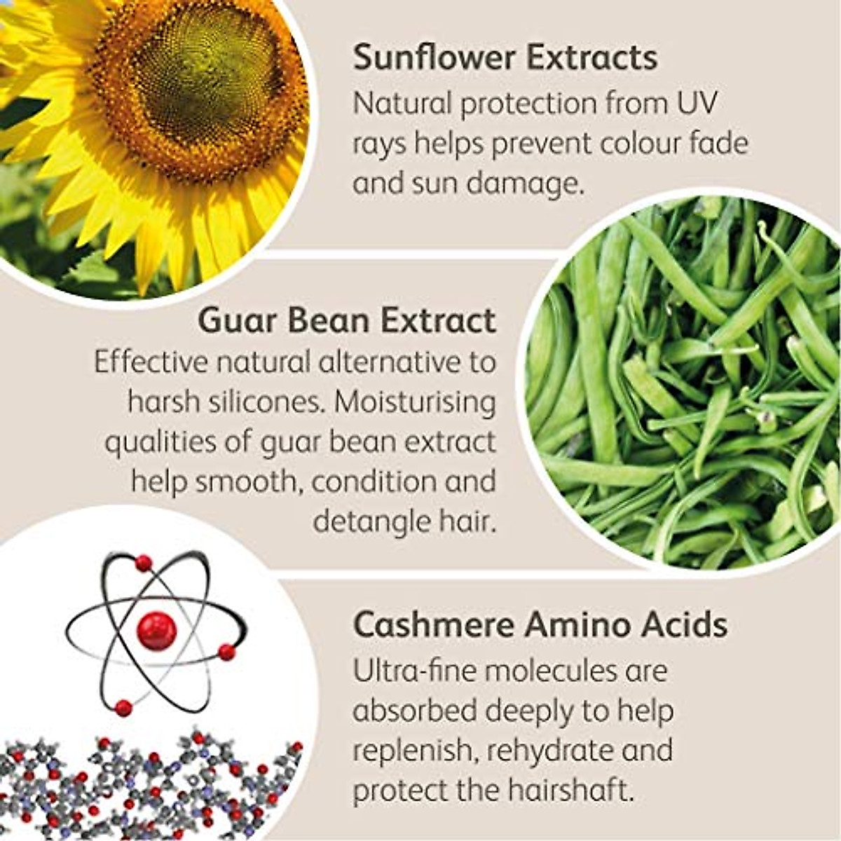 3'''More Inches Cashmere Protein UV Protective Shampoo 250ml - Restoring & Strengthening Shampoo - Color Protective - Silicone Free - With Protein Amino Acids - Hair Care by Michael Van Clarke