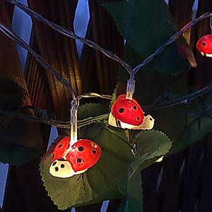 ZLYPSW 20 LED Ladybug Shape String Lights Battery Holiday Wedding Christmas Decoration lamp for Home Balcony Courtyard Garden