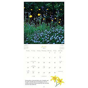 Where the Crawdads Sing Wall Calendar 2023