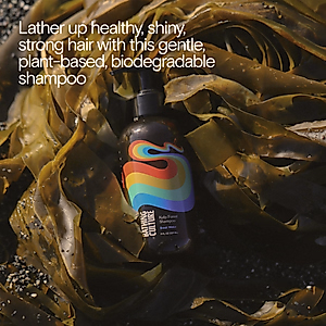 Bathing Culture - Organic Kelp Forest Shampoo | Natural, Biodegradable, Sustainable, Vegan Personal Care (8 fl oz | 237 ml)
