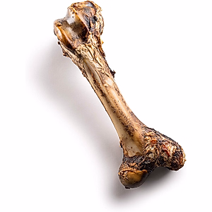 Jack&Pup Mammoth Large Dog Bone | 16" Marrow Dog Bones for Aggressive Chewers | Single Ingredient Long Lasting Chew Bones (1 Pack)