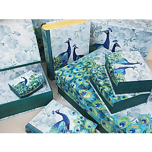 Punch Studio Book Box, Multicolored