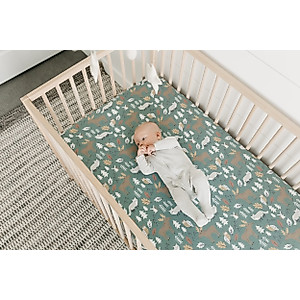 Copper Pearl Premium Knit Baby Crib Sheets for Boys and Girls Breathable and Soft, Fitted Crib Sheets for Standard Baby Mattresses, Crib Sheet for Baby Registry or Shower Gift, Atwood