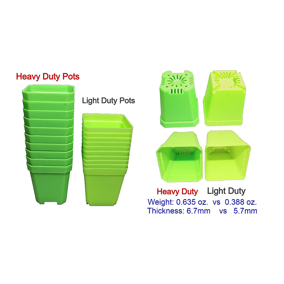 Lil Gnomies Propagator with Humidity Dome Durable Seed Tray Germinating Cutting Clone & Plant Propagation Kit (Propagator+24LitePot)