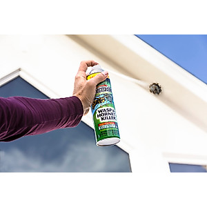 Spectracide Wasp & Hornet Killer Spray, Kills Wasps, Hornets and Yellow Jackets, Sprays Up To 27 Feet, 20 Ounce