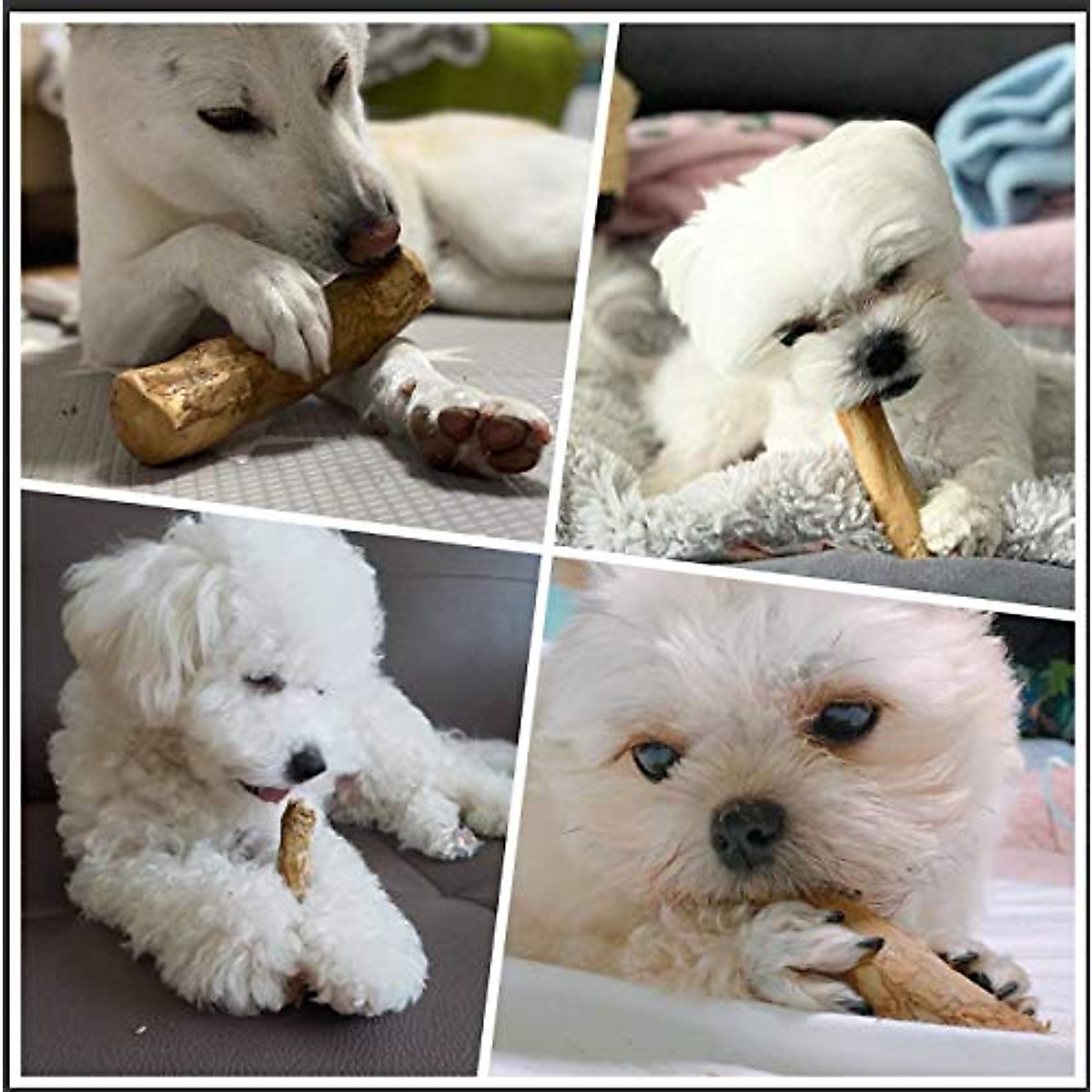 Pet Full House WoofWood Dog chew Sticks, Safe, Natural & Healthy chew Toys, Real Coffee Wood, Long Lasting, Durable chewable Stick and Toy, Aggressive chewers for Dogs, Dog chew Bones (Medium)