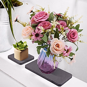 Set of 5 Water Absorbent Diatomite Coasters, Diatomaceous Earth Kitchen Soap Dish, Water Absorbing Stone for Hand Soaps & Cups & Drinks Bottles & Plants and Cosmetic Bottles