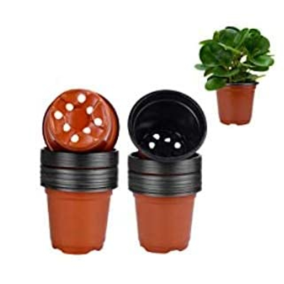Enenes Plastic Plant Pot 50 Pack Flower Nursery Pots 4 Inch Starter Pot for Seedling Little Garden Pots to Re-Pot Succulents and Small Plants