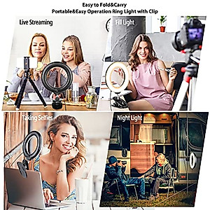 Eicaus Lighting for Video Recording, Selfie Ringlight with Clip for Computer, Conference Lighting for Zoom Meeting, LED Video Light for Webcam, Laptop