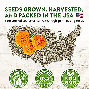 Marigold Seeds Bulk Mix - 5600+ Crackerjack Marigold Flower Seeds for Planting Outdoors - Flowers Seed for Companion Planting - Wildflower African Marigold Seeds (Tagetes erecta)