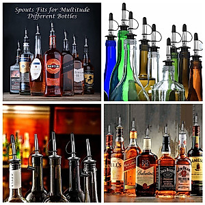 16PCS Liquor Pourers, Stainless Steel Liquor Bottle Pourers Tapered Spout with Rubber Dust Caps, with 8pcs Cleaning Brush, Suitable for About 3/4" Bottle Mouth