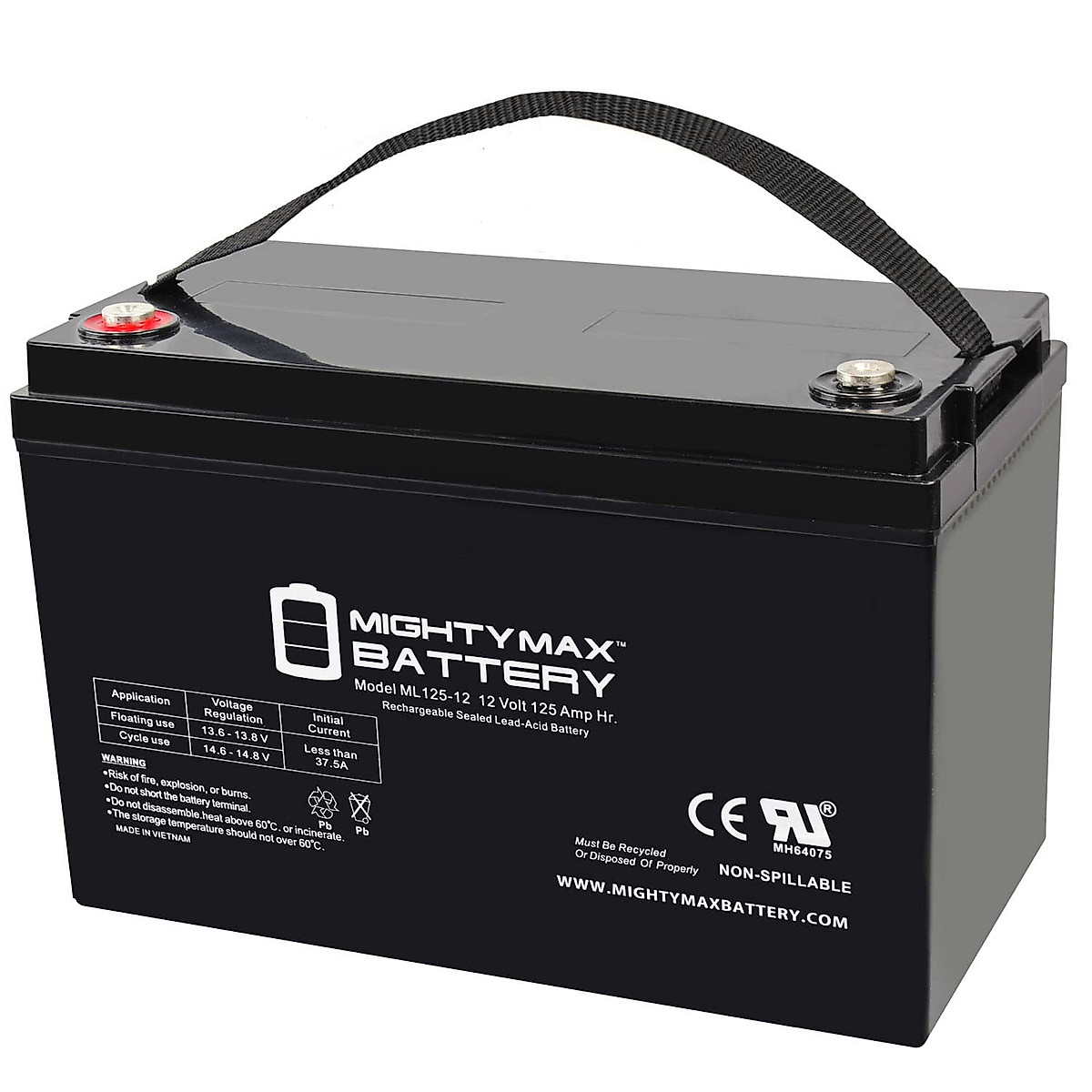 Mighty Max Battery 12V 125AH SLA Battery for Zoeller 508 Aquanot Backup Sump