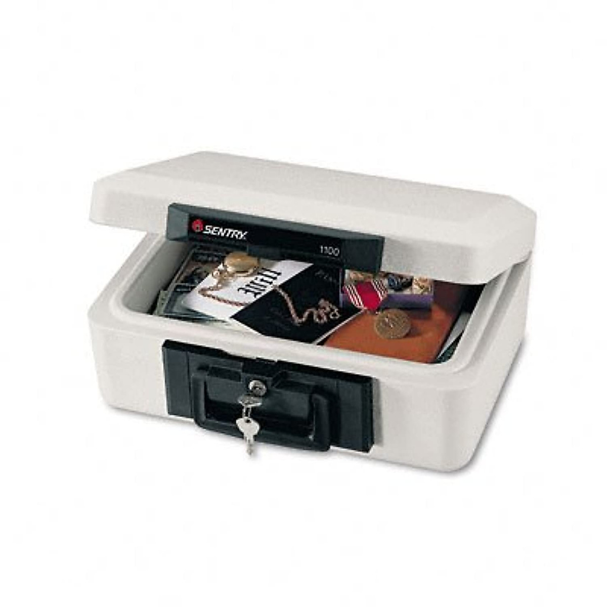 TERRO T1100-6 Carpenter Ant & Termite Killer Ready-to-Use, 1 Quart