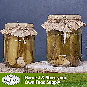 Survival Garden Seeds - Straight Eight Cucumber Seed for Planting - Packet with Instructions to Plant and Grow Pickling and Slicing Cucumbers in Your Home Vegetable Garden - Non-GMO Heirloom Variety