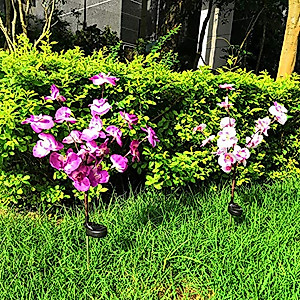 Asixxsix Solar Pathway Light, 2Pcs/Set Elegant LED Garden Light, Delicate for Wedding Festival Decor Outdoor Home Garden Courtyard Lawn Decoration