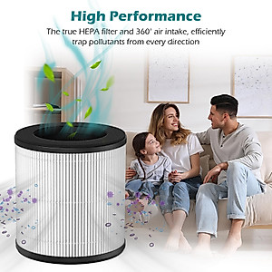 GoKBNY 2-Pack B-D02U True HEPA Replacement Filter Compatible with VEWIOR B-D02U Purifier, 3-Stage Filtration Filters, with Aromatherapy Tablets