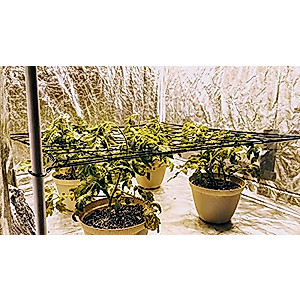 2-Pack Grow Tent Trellis Net for 4x4/5x5 & 4x2 Grow Tents