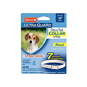 Hartz UltraGuard Flea & Tick Collar for Dogs and Puppies, 7 Month Flea and Tick Protection and Prevention Per Collar, White, Up to 20 Inch Neck