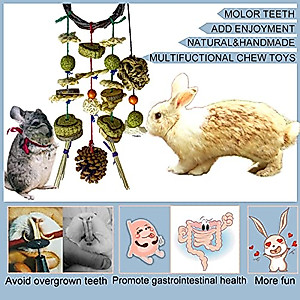 Rabbit Chew Toys for Teeth, Handmade Rabbit Toys for Bunnies, Natural Guinea Pig Chew Toys with Balls, Timothy Hay, Apple Wood for Chinchilla Gerbil