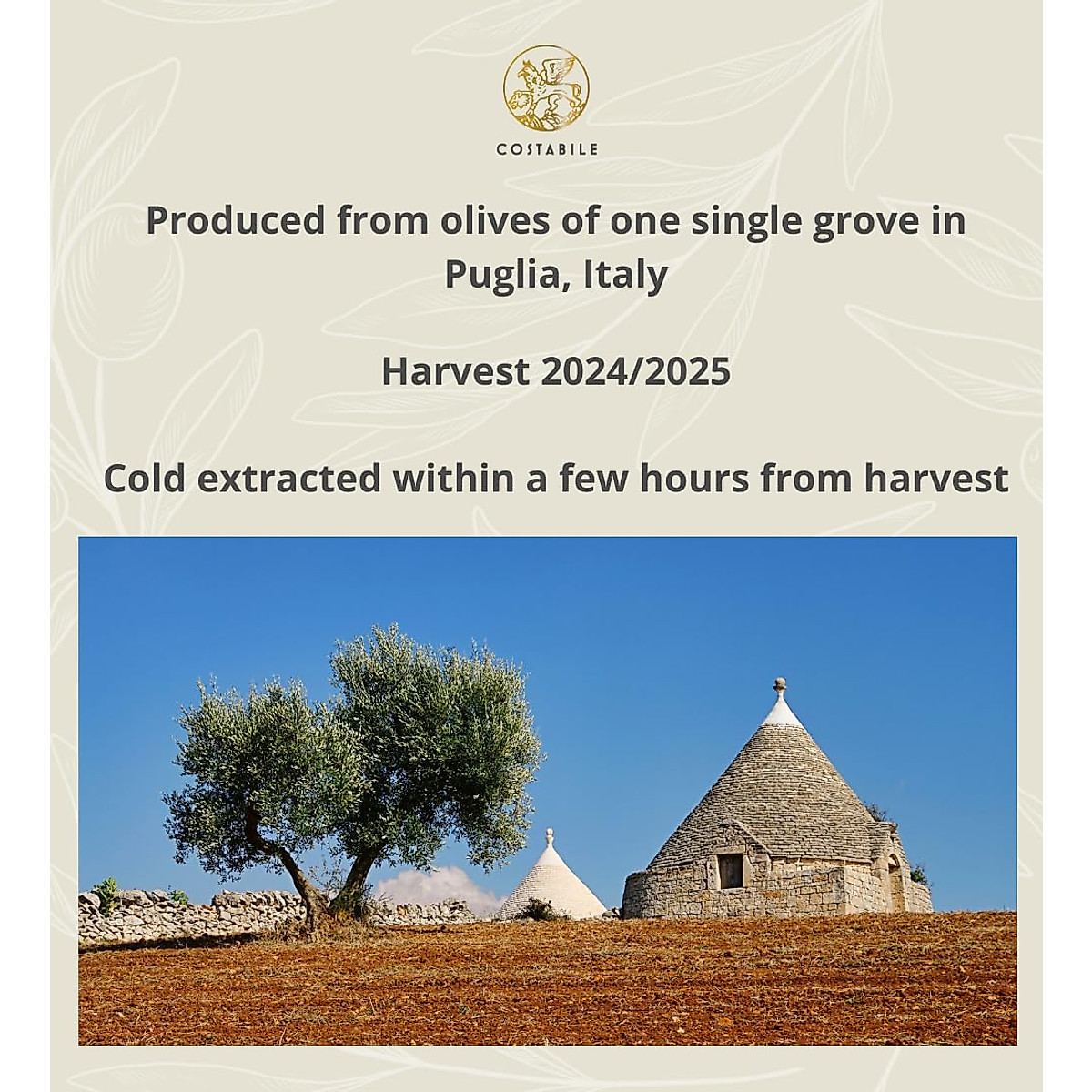 Extra Virgin Olive Oil Cold Pressed Organic. High polyphenol olive oil from Puglia Italy. Fresh harvest from a single estate - COSTABILE Classic Blend 8.45 Fl. Oz.