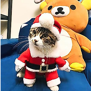 Christmas Cat Funny Clothes! Pet Santa Outfit with Hat! Dogs & Cats Santa Claus Suit Winter Coat! Christmas Costume Set for Small, Medium and Large Pet! Choose Your Size! (Small)