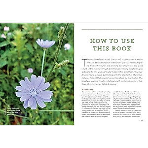 Northeast Medicinal Plants: Identify, Harvest, and Use 111 Wild Herbs for Health and Wellness (Medicinal Plants Series)