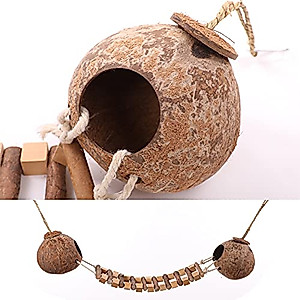 Coconut Bird Nest with Ladder for Parrots Parakeet Conures Lovebird Cockatiel Finch Canary, Small Animals Hideaway Hut, Coconut Shell Bird Cage Toy, Natural Coconut Squirrel House Hanging Loop