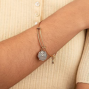 Alex and Ani Path of Symbols Expandable Bangle for Women, Guardian Angel Wings Charm, Rafaelian Gold Finish, 2 to 3.5 in