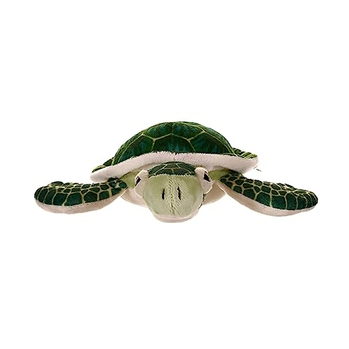 Wild Republic Sea Turtle Plush, Stuffed Animal, Plush Toy, Gifts for Kids, Cuddlekins, Green 8 Inches,Multi