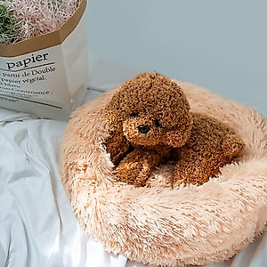 SM4BED Calming Dog Bed for Small Dogs Cats, Kitty Puppy 20'' Round Anti-Anxiety Warm Fluffy Plush Faux Fur Bed, Soft Anti-Slip Donut Washable Small Pet Bed, Fits up to 25 lbs Pets, White