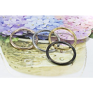 16G 18G 20G Stainless Steel Hinged Clicker Segment Septum Nose Lip Ring Hoop Cartilage Tragus Sleeper Earrings Body Piercing Jewelry for Women Men 6mm 8mm 10mm Mix Colors A Set (20G - 8mm - 4Pcs)