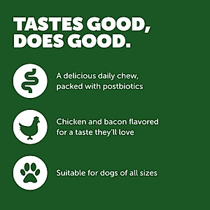 Protexin Daily Care Gut+ Mobility, 60 postbiotic Dog Supplement Chews – Chicken and Bacon Flavored