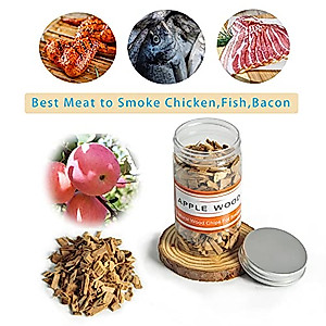Restaswork Wood Chips for Smoking Variety Pack, 8 OZ Apple Cherry Pecan Oak Hickory and Beech Natural Flavor Wood Chips BBQ Smoking Chips for Grills, Bake, Roast, Braise (Apple)