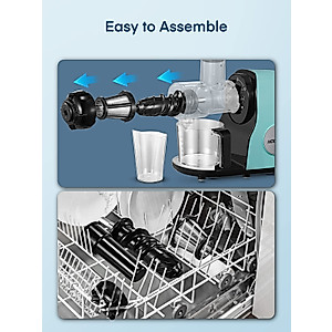 Juicer Machines, HOUSNAT Professional Celery Slow Masticating Juicer Extractor Easy to Clean, Cold Press Juicer with Quiet Motor and Reverse Function for Fruit & Vegetable, Brushes & Recipes Included
