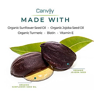 Canviiy ScalpBliss Hydrate + Strengthen Organic-Based Scalp Balm, Provides a Breathable, Moisturizing, Protective Barrier to Nourish and Hydrate the Scalp, 4 Oz (Pack of 1)