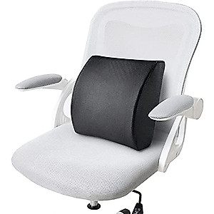 OZELS Lumbar Support Pillow, Memory Foam Back Cushion Pillow for Office Chair,Computer/Car Seat and Wheelchair with Breathable Mesh,Ergonomic Orthopedic Backrest for Back Pain Relief