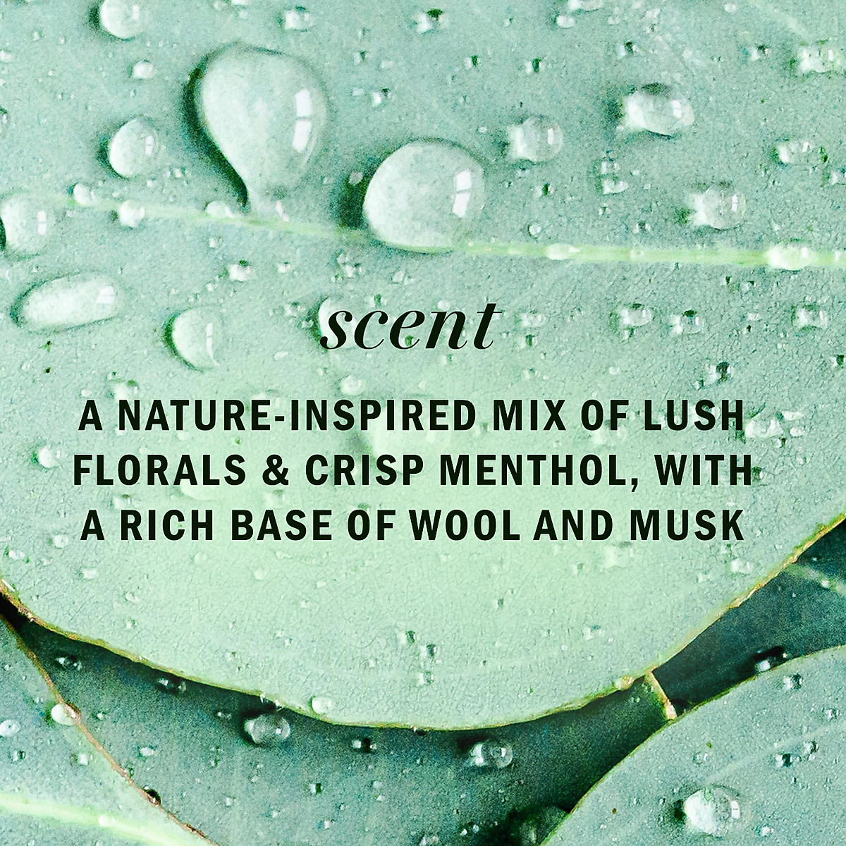 Herbal Essences Bio: Renew Aloe + Eucalyptus Sulfate Free Shampoo Scalp Balance, 13.5 Fl Oz, 5.491 Fl Oz