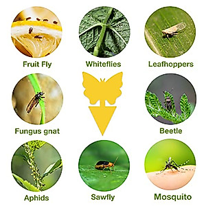 40 Pack Fungus Gnat Traps for House Indoor Yellow Sticky Traps for Plants, Dual-Sided Fungus Gnat Sticky Traps Fruit Fly Traps for Indoors