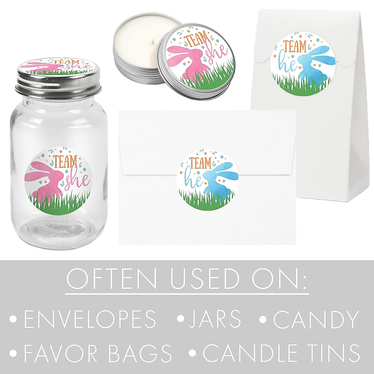 What Will Our Little Bunny Be Gender Reveal Party -Team He or Team She - 40 Stickers