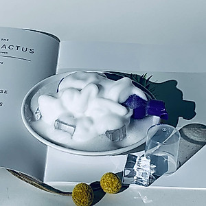 Lil Ray 2 Oz Empty Black Foam Pump Bottle, Foamer Soap Dispenser for Lash Shampoo, Hand Soap, Foaming Cleaner(Gold Pump, 12 PCS)