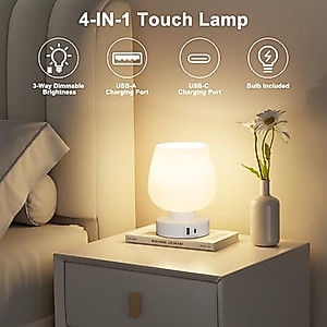 Kakanuo Bedside Table Lamp with Glass Shade, Touch Control, Dual USB A+C Charging Ports, Nightstand Lamp, 3-Way Dimmable, Bulb Included