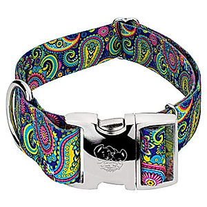 Country Brook Petz - 1 1/2 Inch Premium Bright Paisley Dog Collar, Large