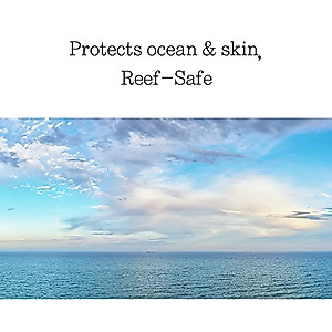 PYUNKANG YUL Moisture Soothing Sun Cream- All Skin Types, Broad Spectrum SPF 50 Safe Hybrid Sunblock| Reef Safe, No White Cast, Soothing Sunscreen Lotion, Skin Moisturizer Hyaluronic Acid| 2.53 Fl.Oz.