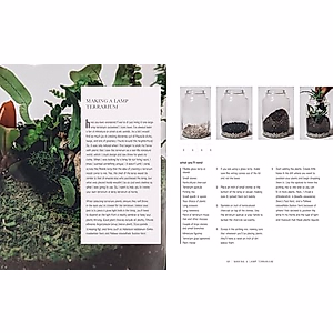 Wild at Home: How to style and care for beautiful plants