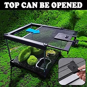 BNOSDM Reptile Tank,8" x 8" x 6" Mini Reptiles Terrarium,Full View Young Lizard Glass Tank,Small Amphibians Habitat Enclosure Cage for Tarantula,Frog,Hermit Crab,Isopods,Insects Breeding Box