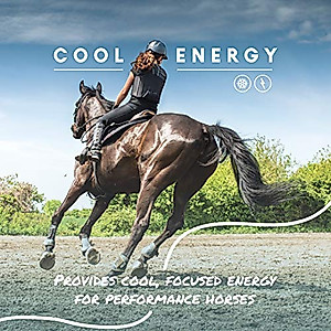 Manna Pro Cool Calories 100 | Equine Dry Fat Supplement for Healthy Weight Gain | 8 Pounds